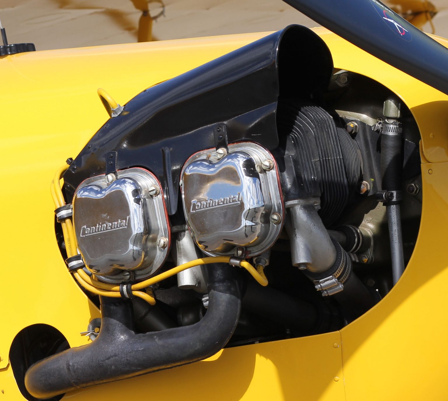 Cub Eyebrow – The Cub Den